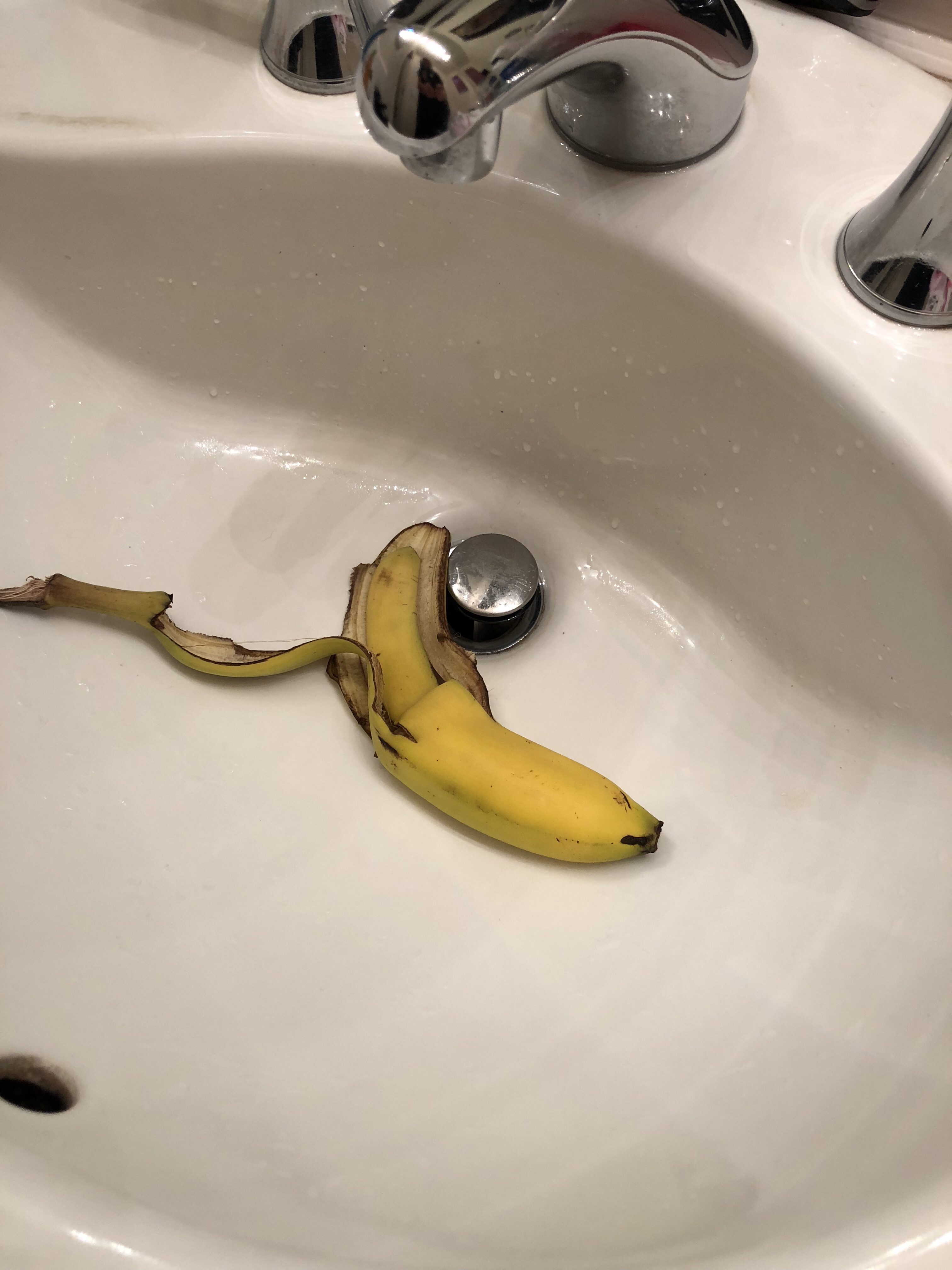 Sink Bananas – Amy-Westphal.com